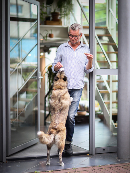 Rikit Hair Amsterdam | Local Birds